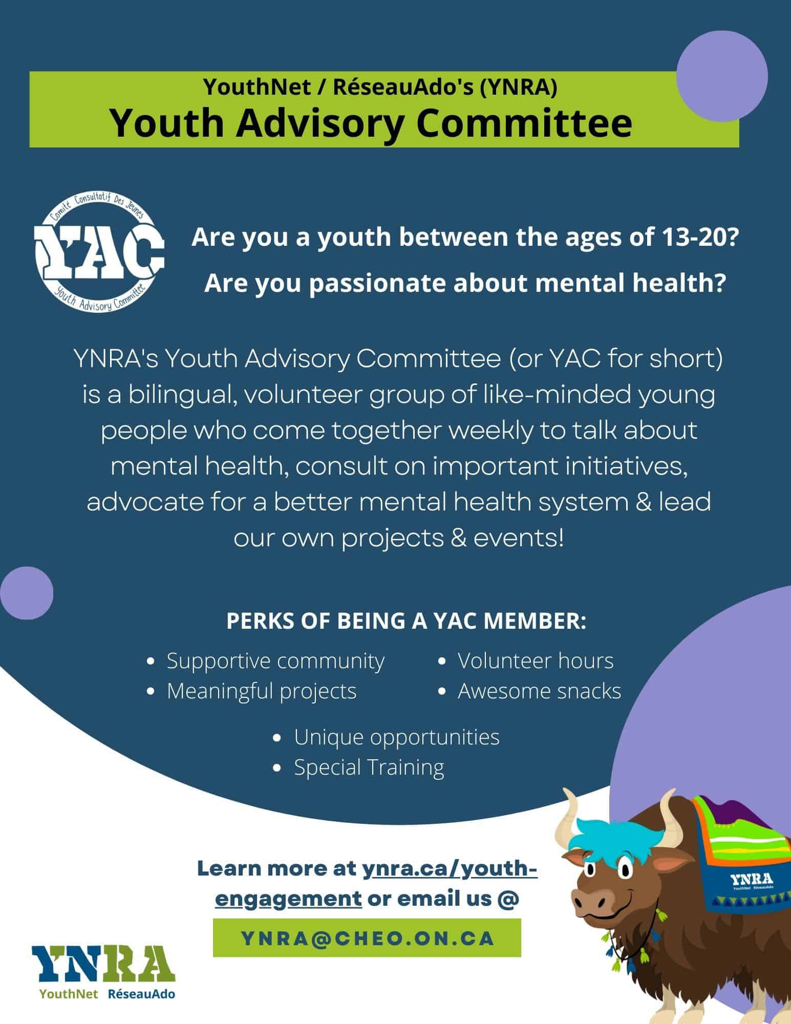 Youth Programs - YouthNet RéseauAdo